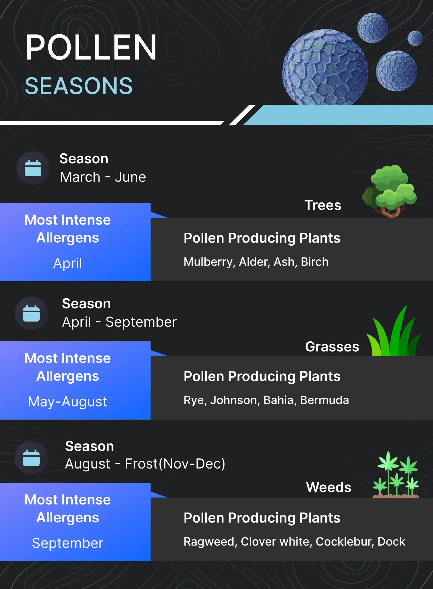 Check Pollen Counts by Zip Code & Real Time Pollen Index | Ambee